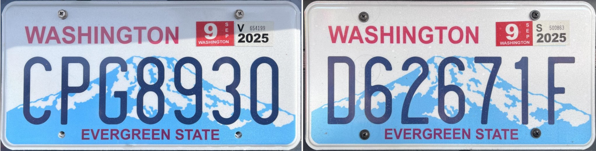 Flat License Plates in Washington – Danny's License Plates